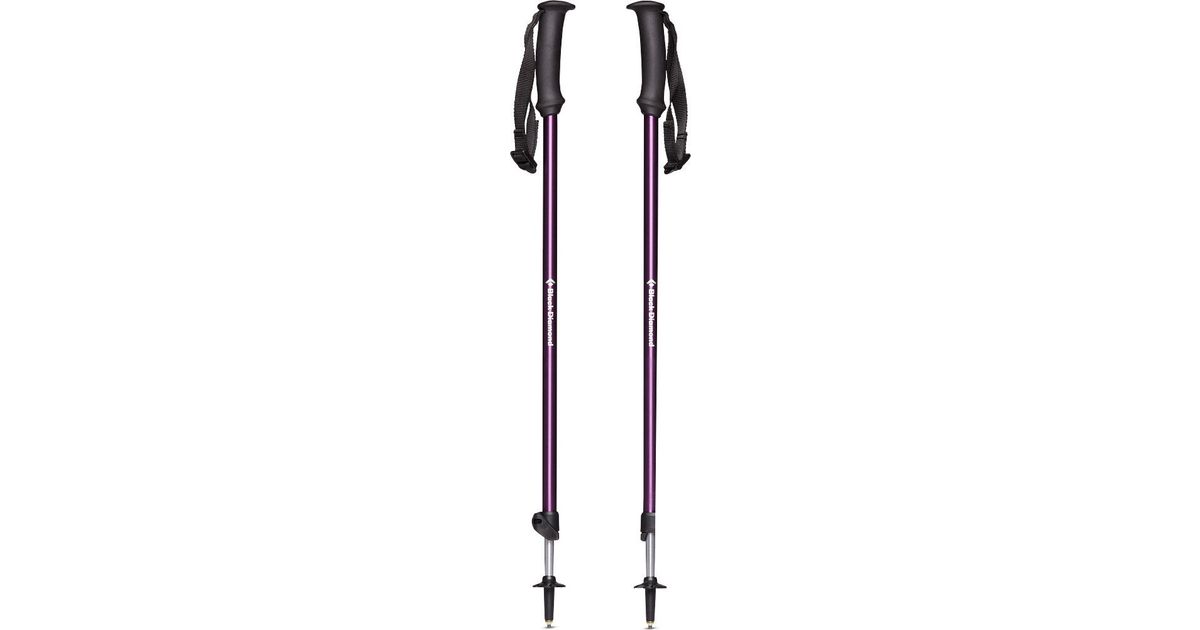 Black Diamond Trail Explorer 2 Trek Poles | SportFits Shop
