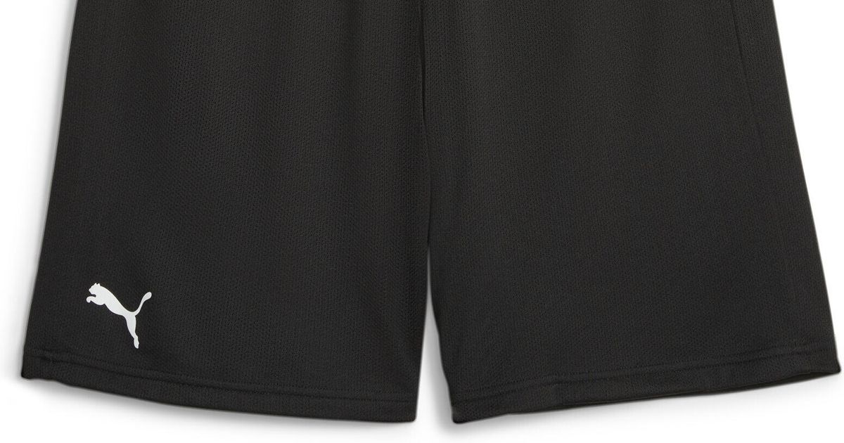 Puma Hoops Team Practice Short - Men's outdoor shorts | SportFits Shop