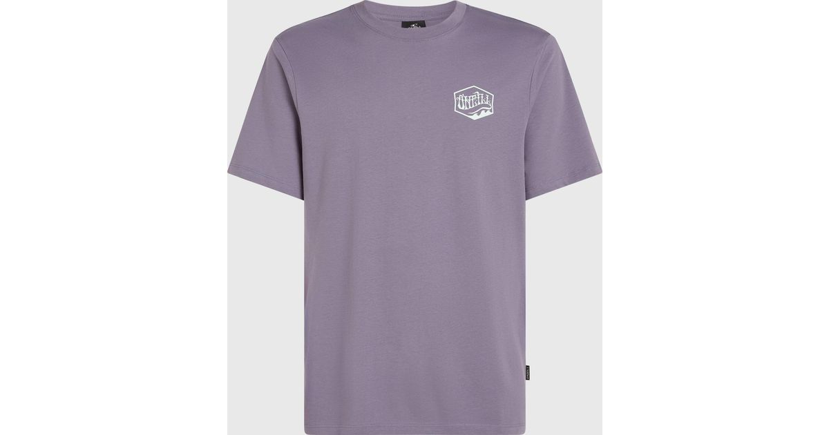 O'Neill O'neill Box Logo T-shirt - | SportFits Shop