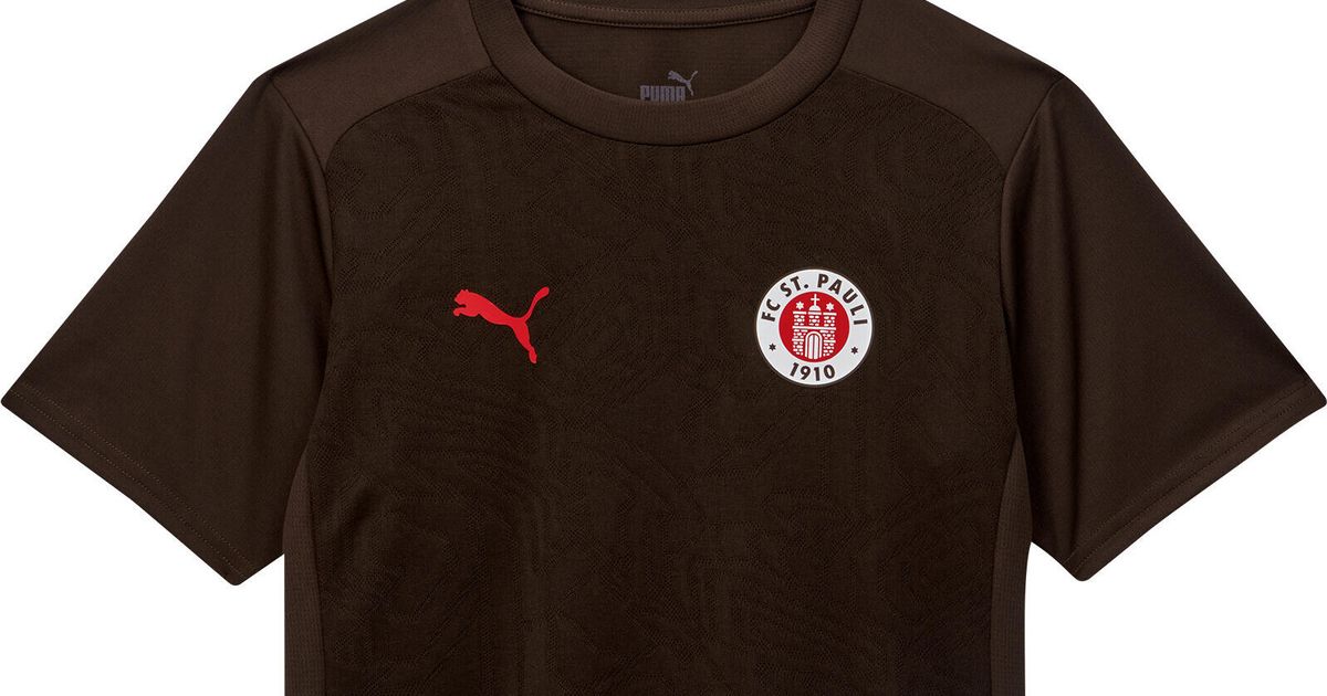 Puma Fcsp Training Jersey Jr - Kinder Radtrikot | SportFits Shop