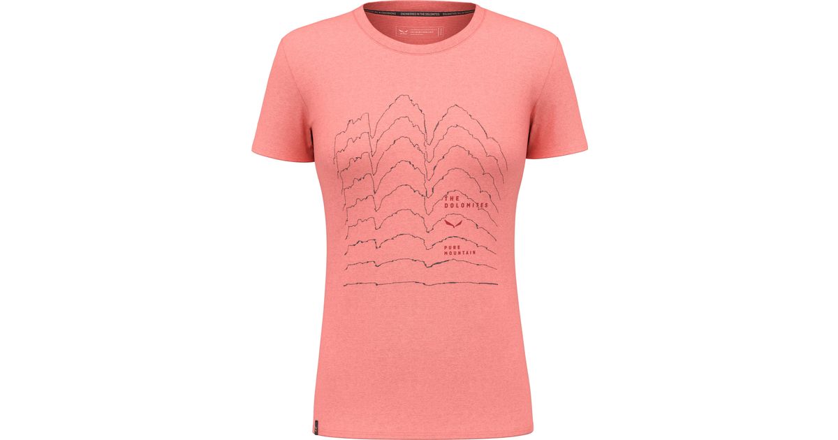 Salewa Pure Skyline Dry'ton W T-shirt | SportFits Shop