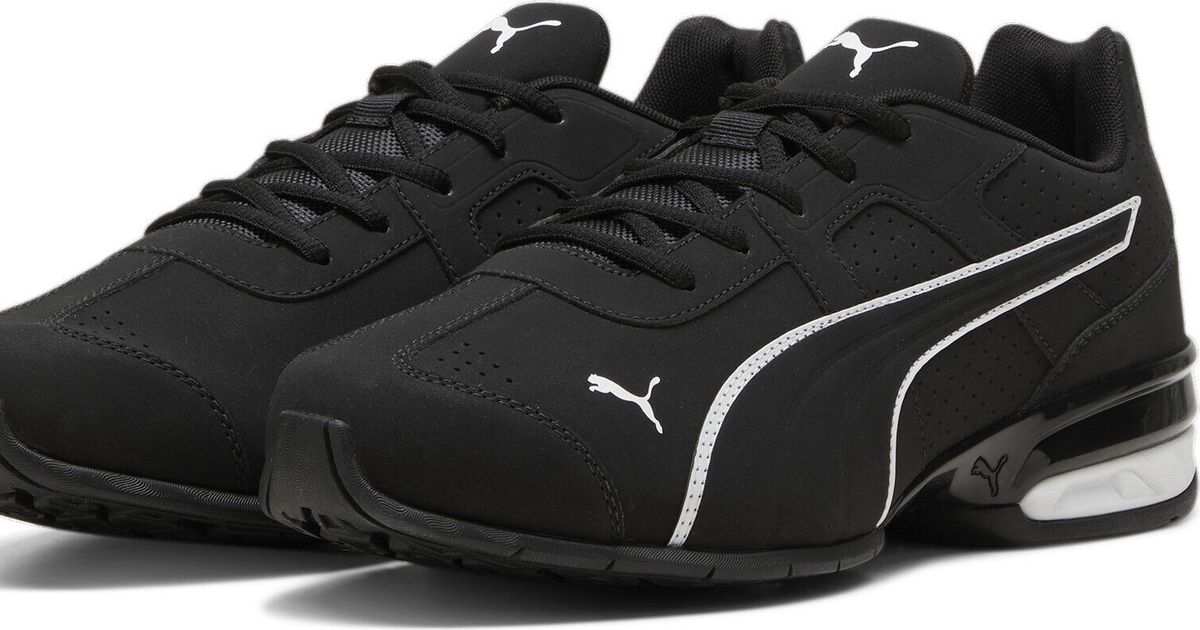 Puma Tazon 7 Evo | SportFits Shop