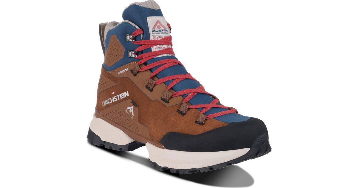 Dachstein SF TREKGUIDEMCWP1925 | SportFits Shop