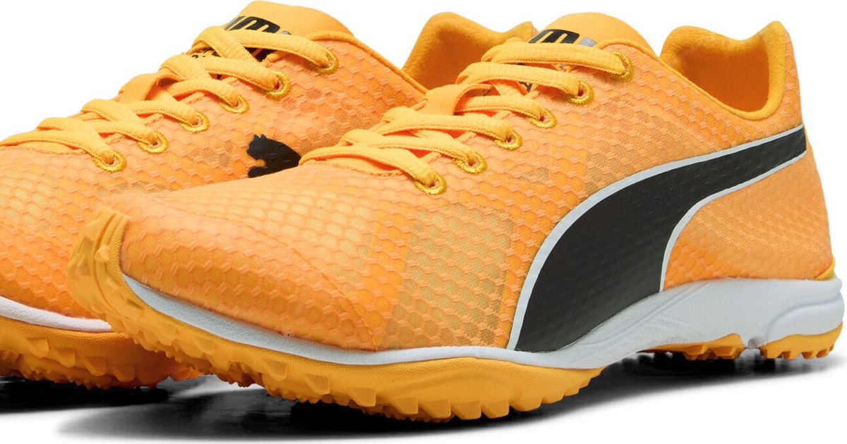 Puma Evospeed Haraka 8 Unisex Spikeless - Unisex Fitnessschuhe ...