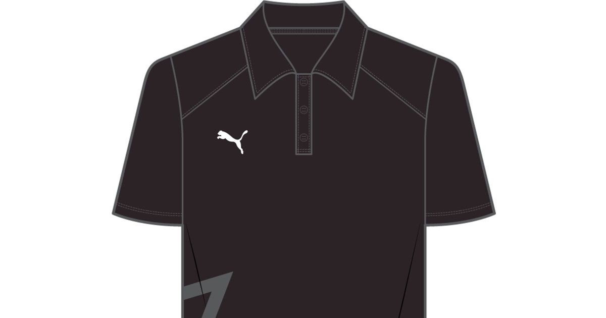 Puma Hoops Team Polo - Men's polo shirt | SportFits Shop