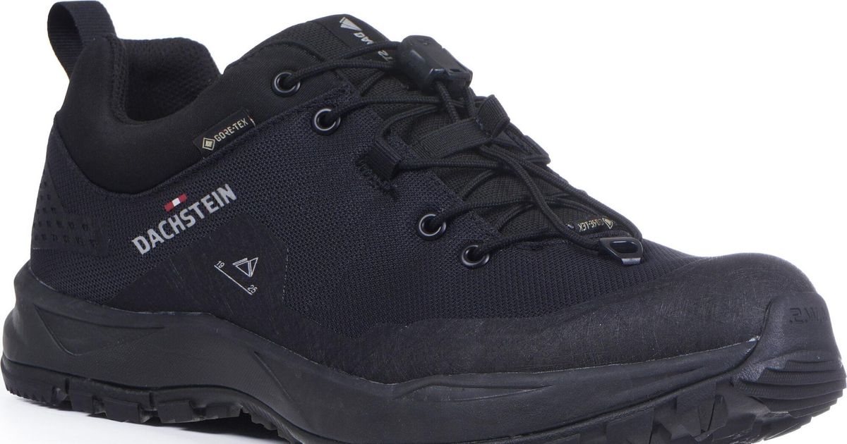 Dachstein Delta Peak GTX - Men speed hiking shoes | SportFits Shop