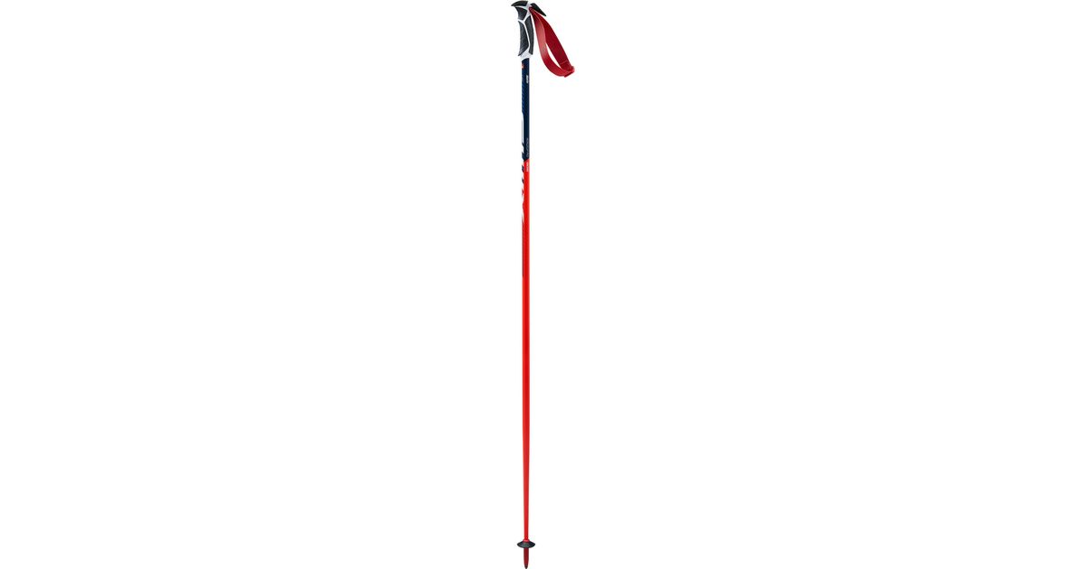 Swix WC Pro Slalom - Ski poles | SportFits Shop
