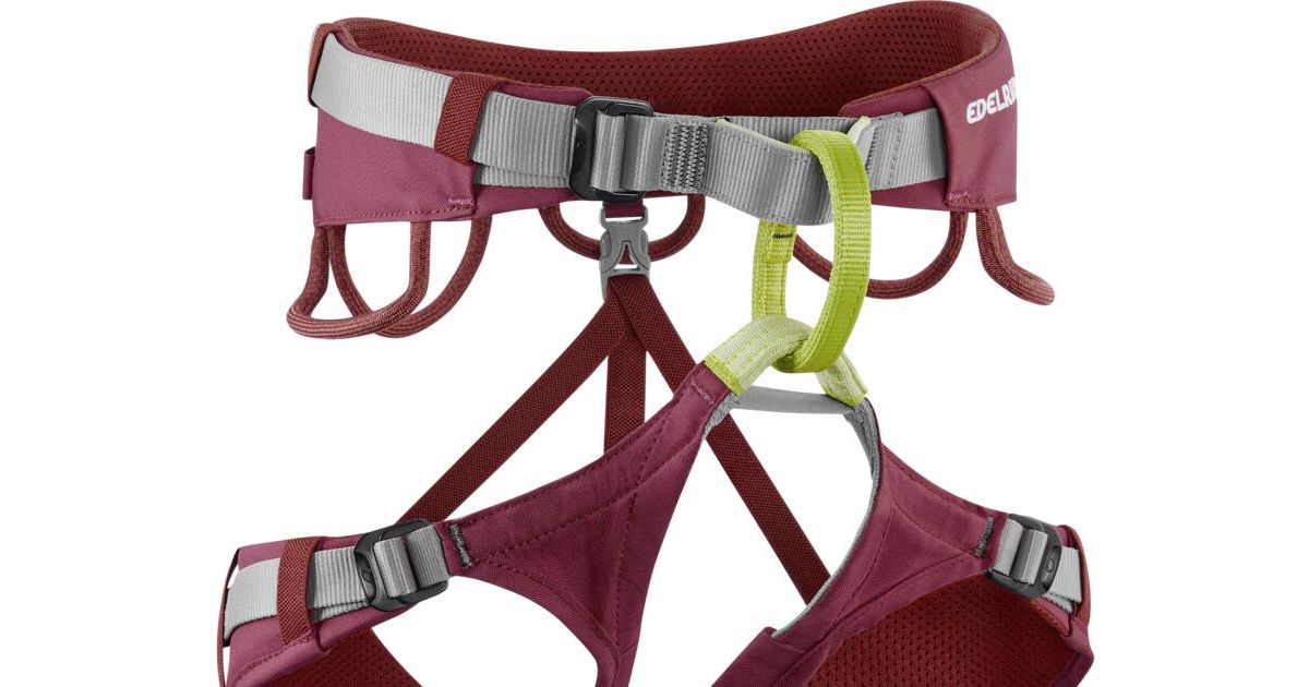 Edelrid Jayne IV - Climbing harness | SportFits Shop