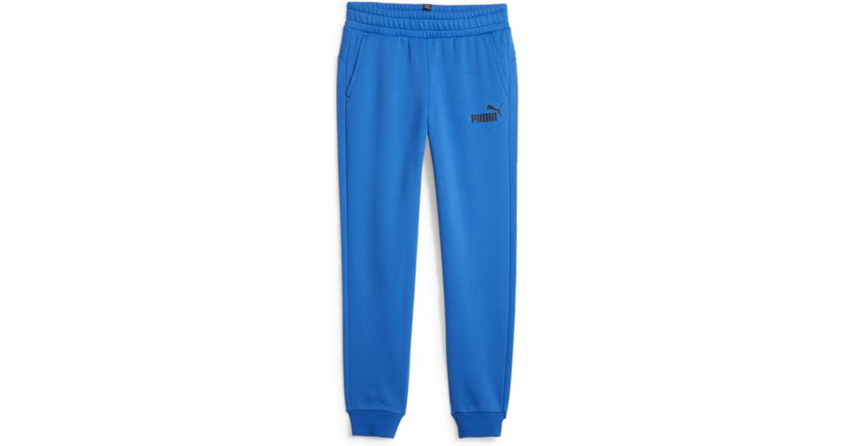 Puma Essentials Logo Pants FL cl B - Boys's outdoor pants | SportFits Shop