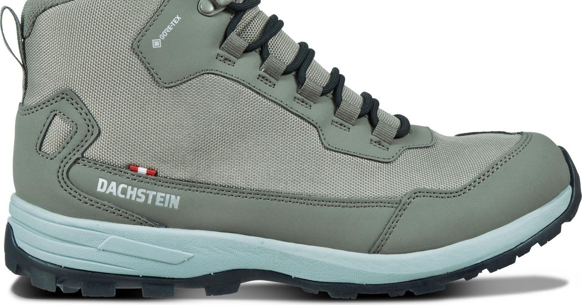 Dachstein Wildcat GTX | SportFits Shop