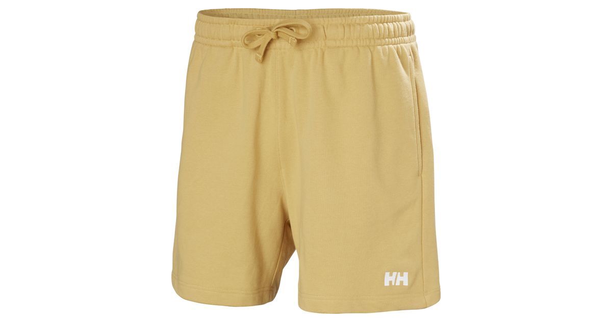 Helly Hansen HH Terry Loop Shorts - Men's outdoor shorts | SportFits Shop
