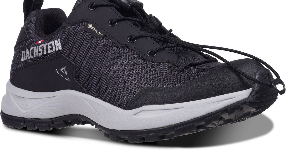 Dachstein Delta Ascent GTX WMN | SportFits Shop