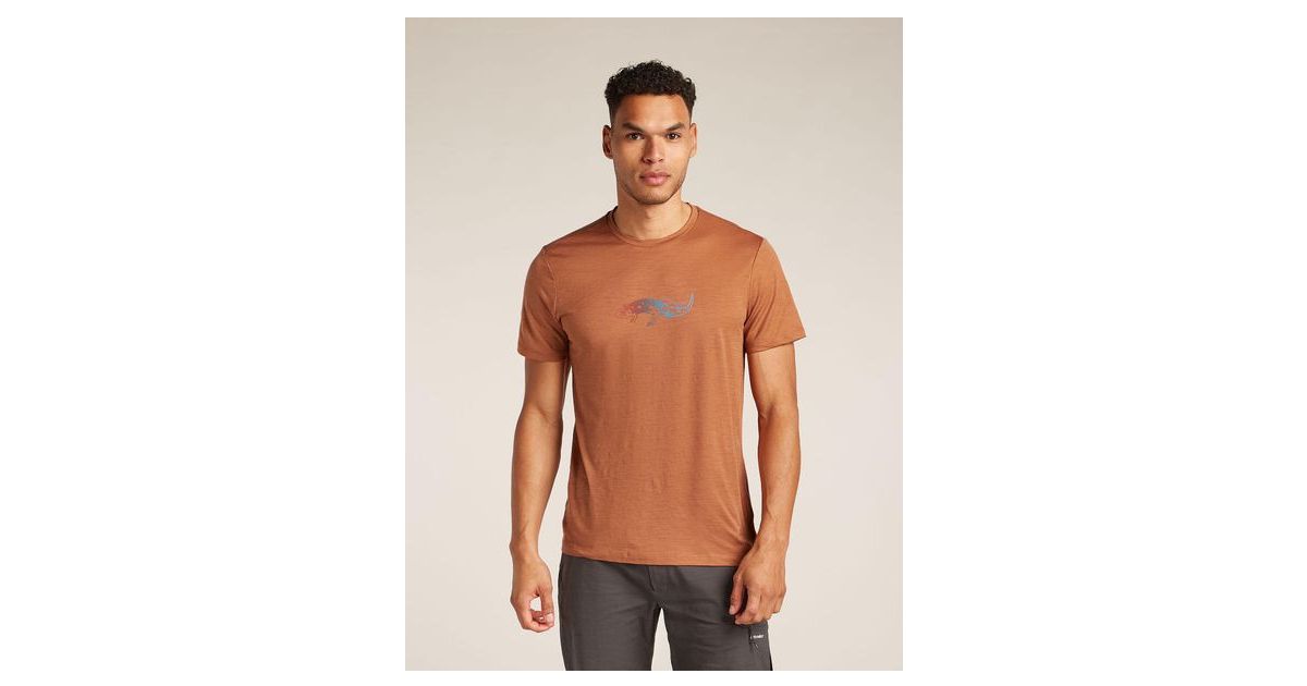 Icebreaker M Mer 150 Tech Lite Short Sleeve Tee Slimey Salama ...